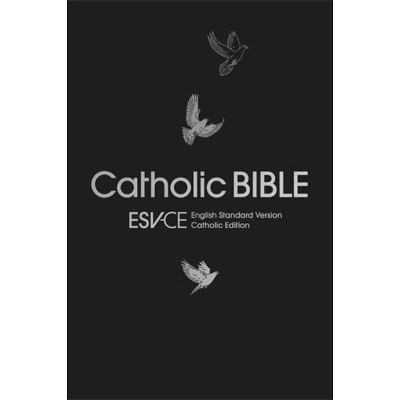 ESV-CE Catholic Bible, Anglicized British Text - Gift and Award Edition ...