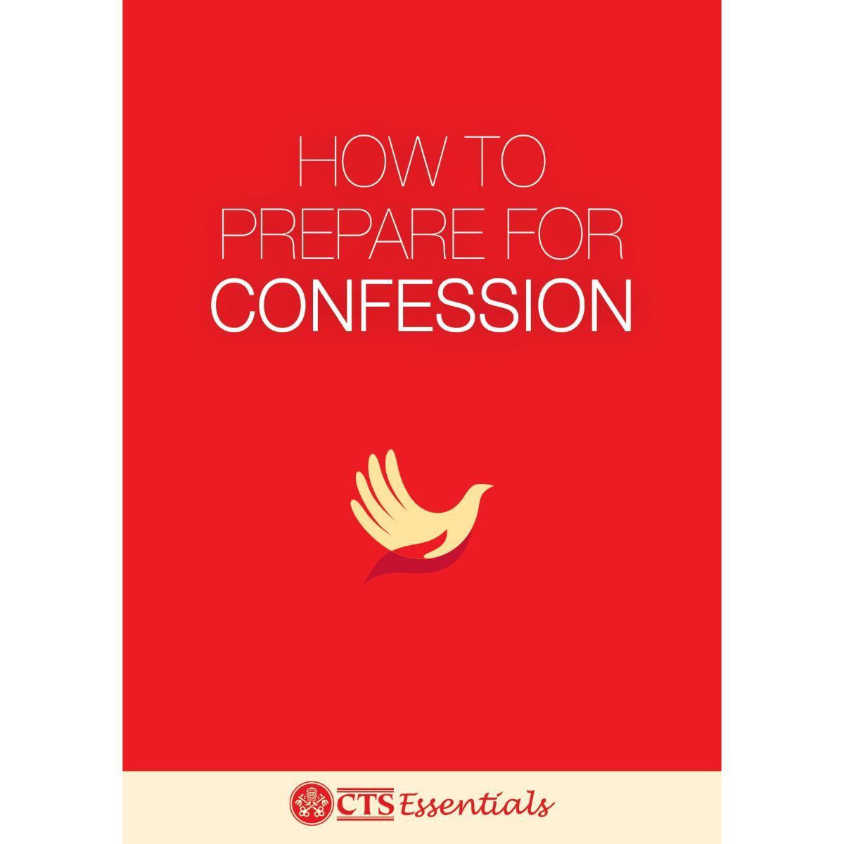 How to Prepare for Confession, Pack of 50 Leaflets, by Fr Robert ...